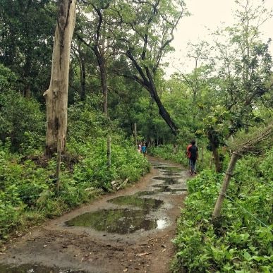 Kuruva Island | Wayanad - What to Expect | Timings | Tips - Trip Ideas ...