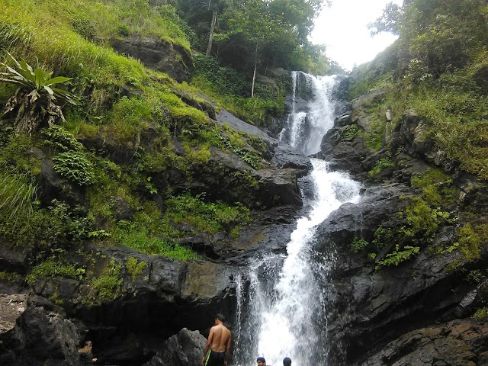 Muthanga Wildlife Sanctuary | Wayanad - What to Expect | Timings | Tips ...