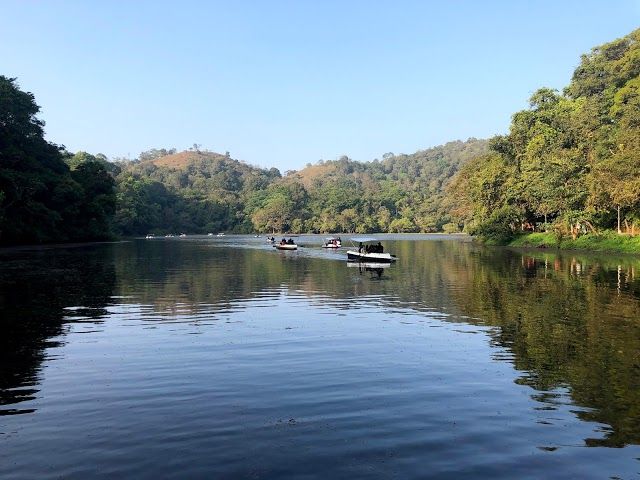 Pookode Lake | Wayanad - What to Expect | Timings | Tips - Trip Ideas ...