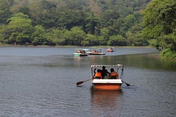 Pookode Lake | Wayanad - What to Expect | Timings | Tips - Trip Ideas ...