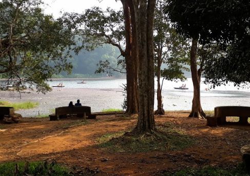 Pookode Lake | Wayanad - What to Expect | Timings | Tips - Trip Ideas ...