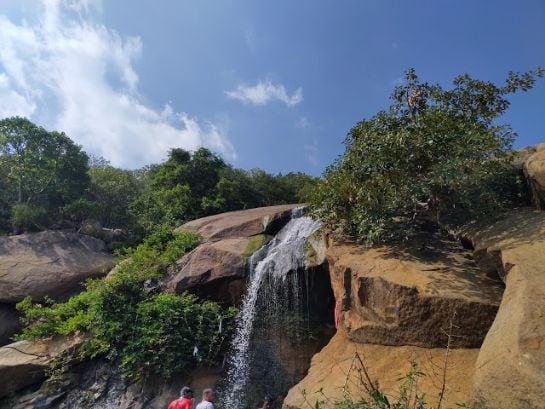 Jalagamparai Waterfalls | Yelagiri - What to Expect | Timings | Tips ...