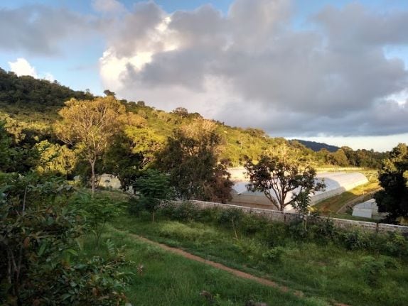 Velavan Temple, Yelagiri - Timing, History & Photos