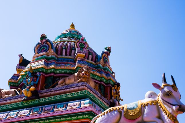 Yelagiri | Best Time to Visit | Top Things to Do | Book Your Trip ...