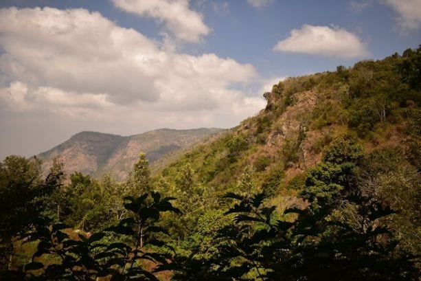 Kiliyur Falls | Yercaud - What to Expect | Timings | Tips - Trip Ideas ...