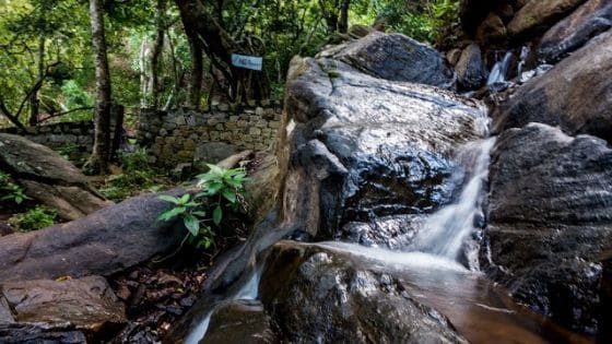 Kiliyur Falls | Yercaud - What to Expect | Timings | Tips - Trip Ideas ...