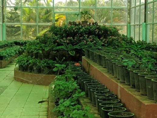 Strolling through National Orchidarium | Yercaud - What to Expect ...