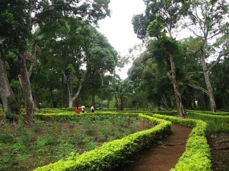 Yercaud Rose Garden | Yercaud - What to Expect | Timings | Tips - Trip ...