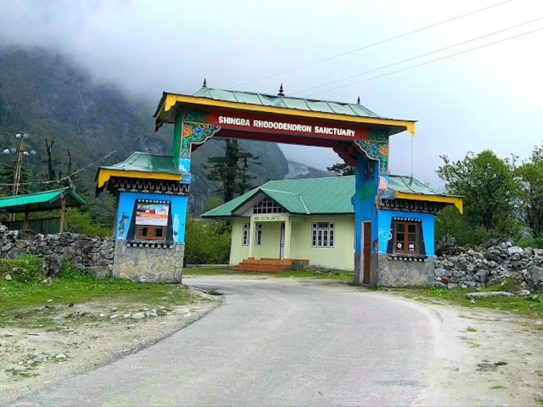 Yumthang Valley, Sikkim | Gangtok - What to Expect | Timings | Tips ...